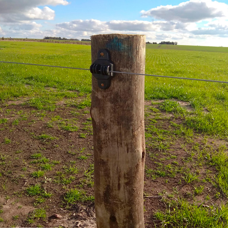 Postes Tratados - Almacen Rural