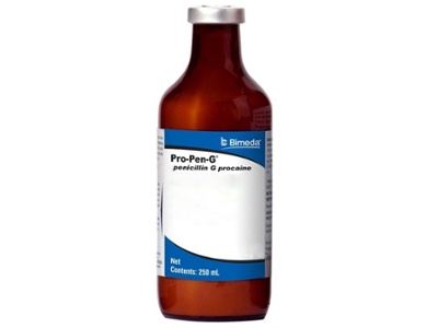 Pro-pen-G inyectable 250 ml - Almacen Rural