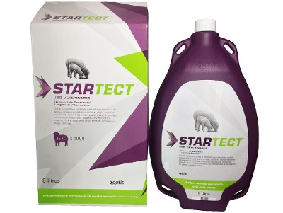 Startect oral x 5 lts. - Almacen Rural