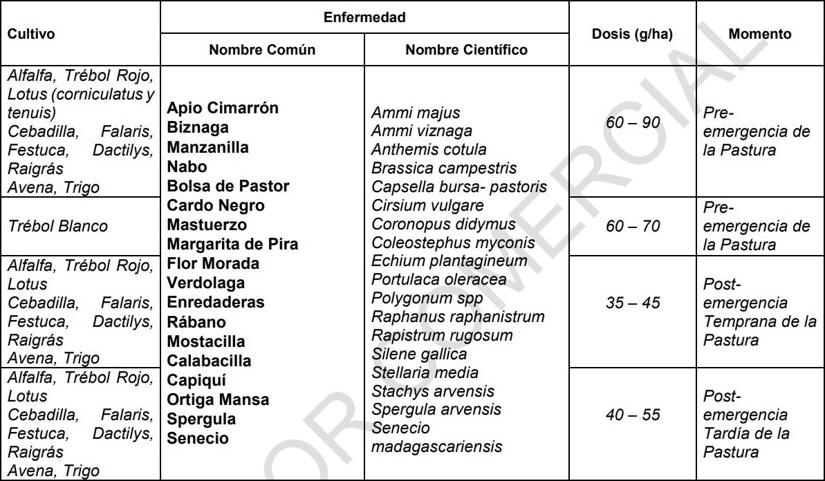 Flumetsulam RADIANT 80 WG x 500 grs. - Almacen Rural