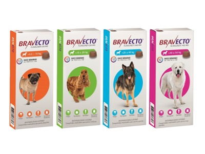 Bravecto 12 semanas de protección - Almacen Rural